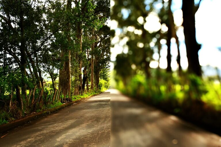 Astigmatism vs Normal Vision: How It Affects Your Sight